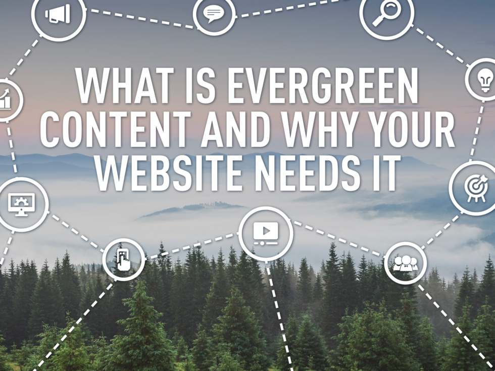 What is Evergreen Content and Why Your Website Needs It | 232 Creative